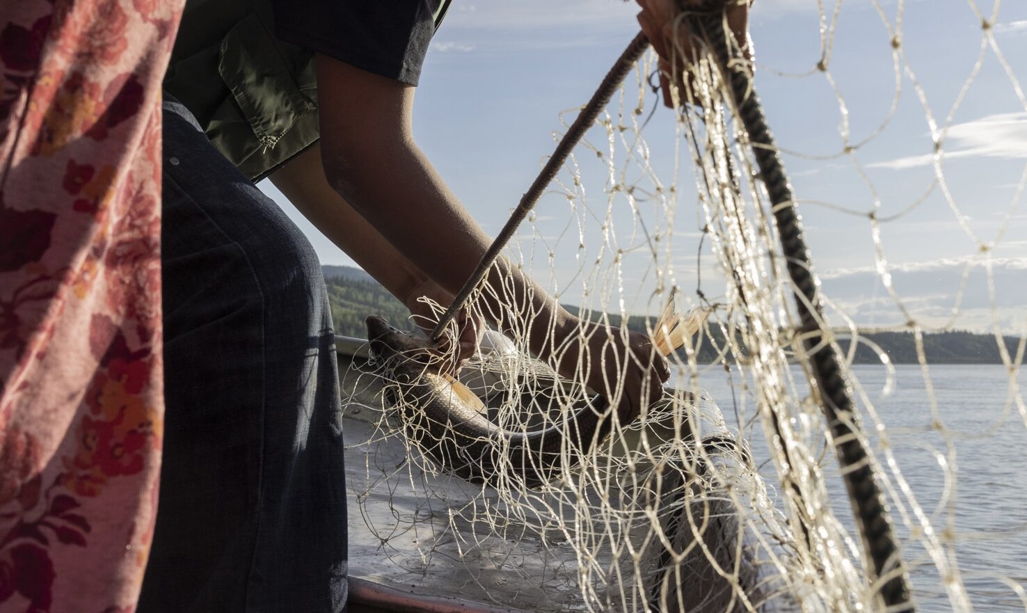 Kings of the North: Bridging disciplines to understand the effects of ...