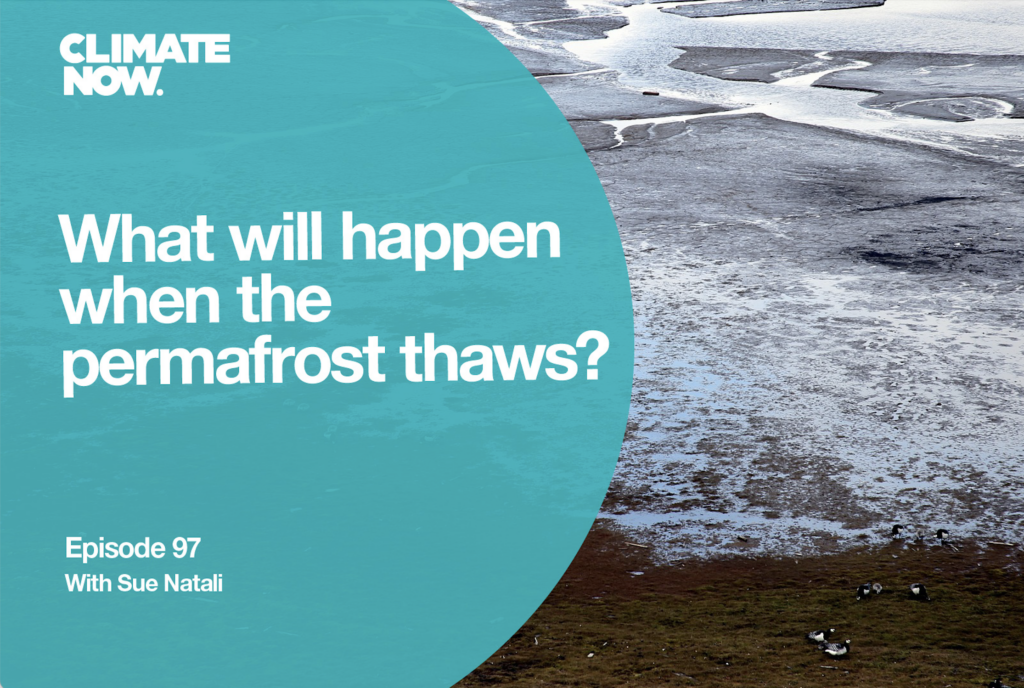 What will happen when the permafrost thaws? - Permafrost Pathways