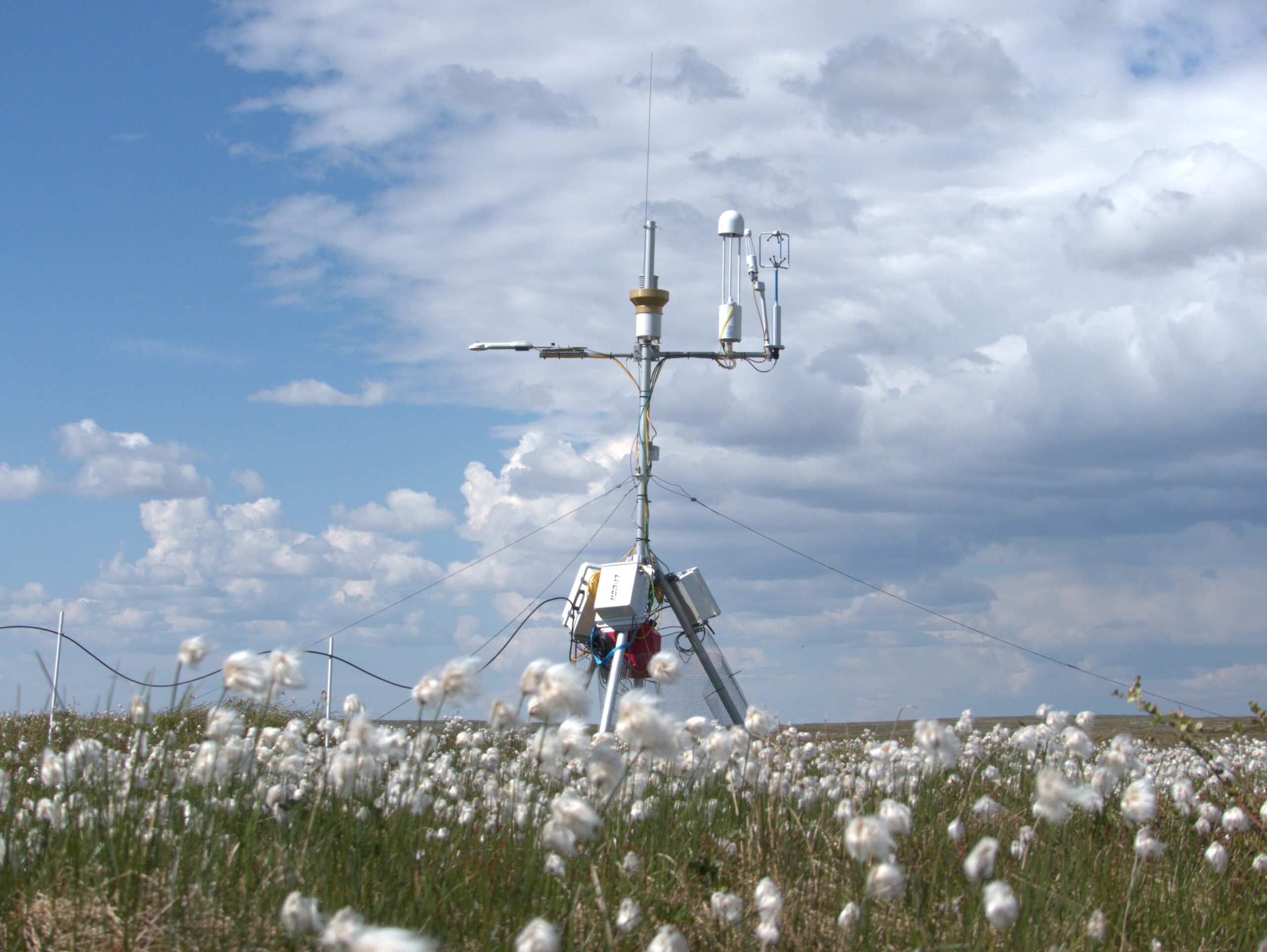 Establishing an Arctic carbon monitoring network to better address the ...
