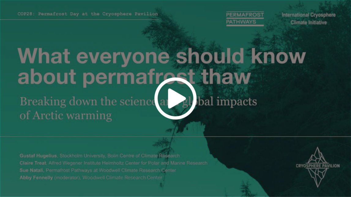 Permafrost Pathways at COP28 - Permafrost Pathways