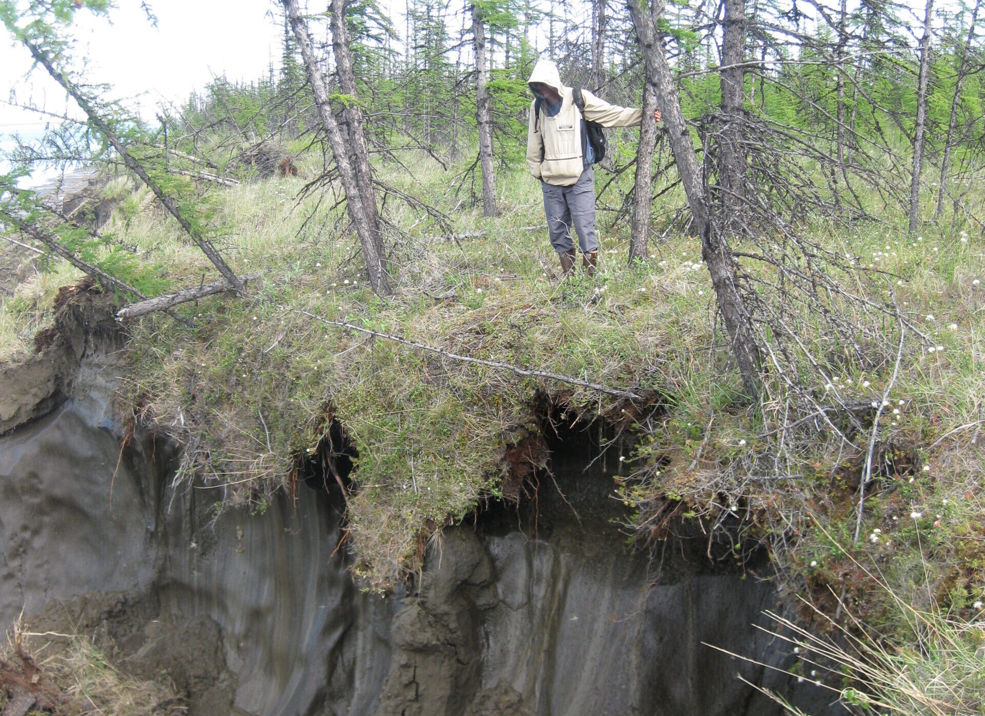 Permafrost Pathways project overview handout - Permafrost Pathways