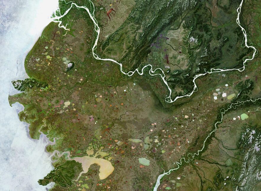 The diverse ecosystem of Alaska’s Yukon-Kuskokwim Delta - Permafrost ...