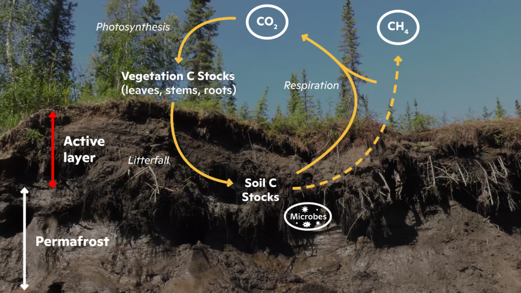 Predicting permafrost change - Permafrost Pathways